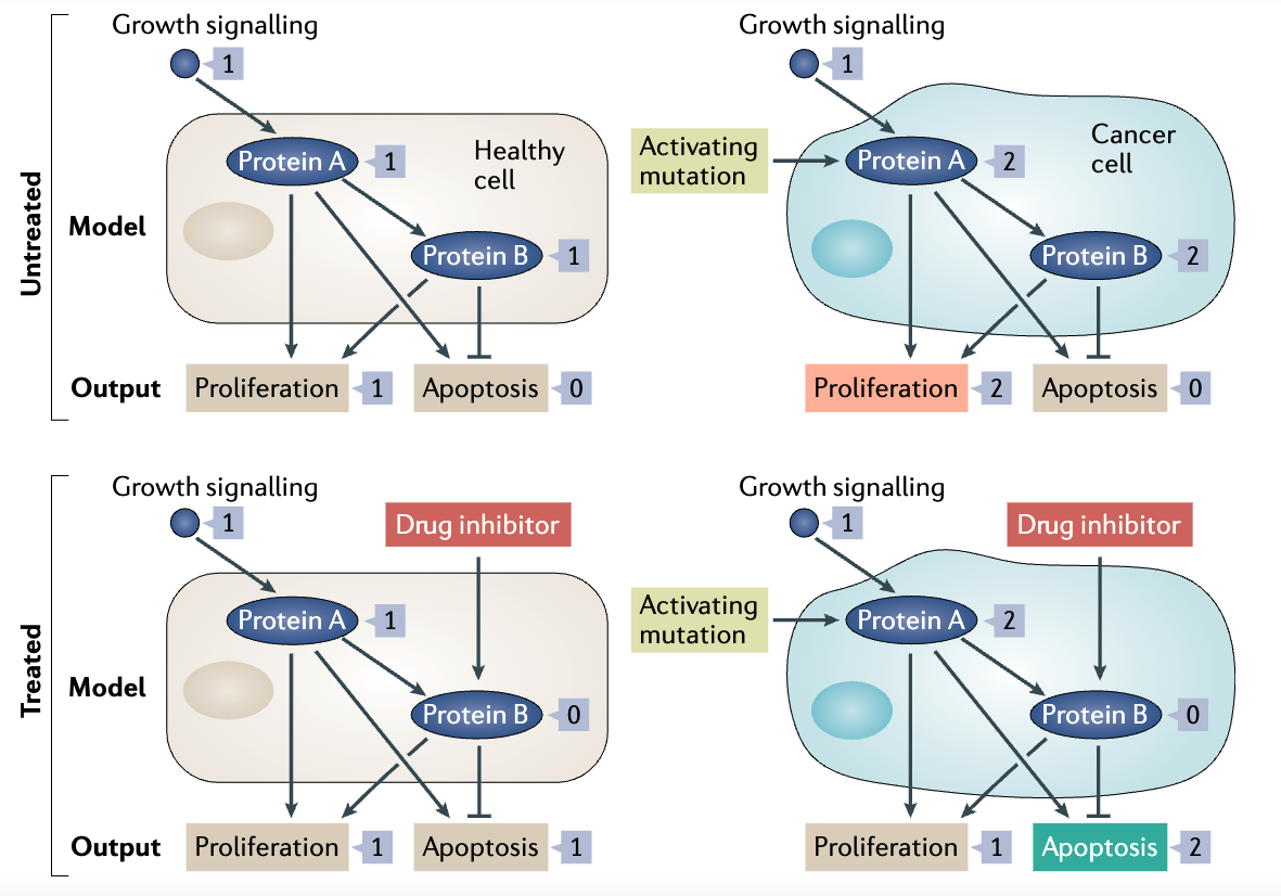 Executable cancer models: successes and challenges | Matthew A. Clarke