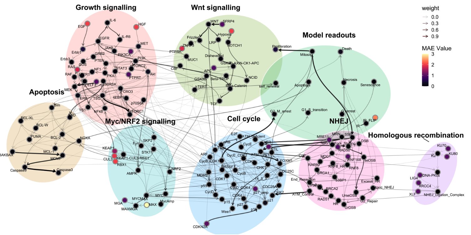 MAGELLAN: Automated Generation of Interpretable Computational Models for Biological Reasoning ...